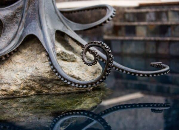 Large Bronze Octopus Sculpture | Realistic Wildlife Outdoor Statues